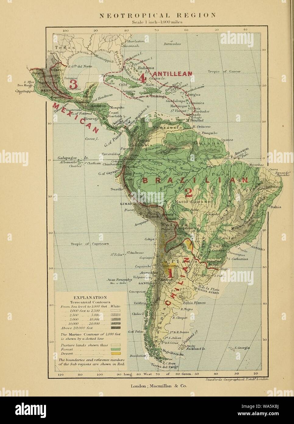 Distribution of Animals - Neotropical Region Stock Photo - Alamy