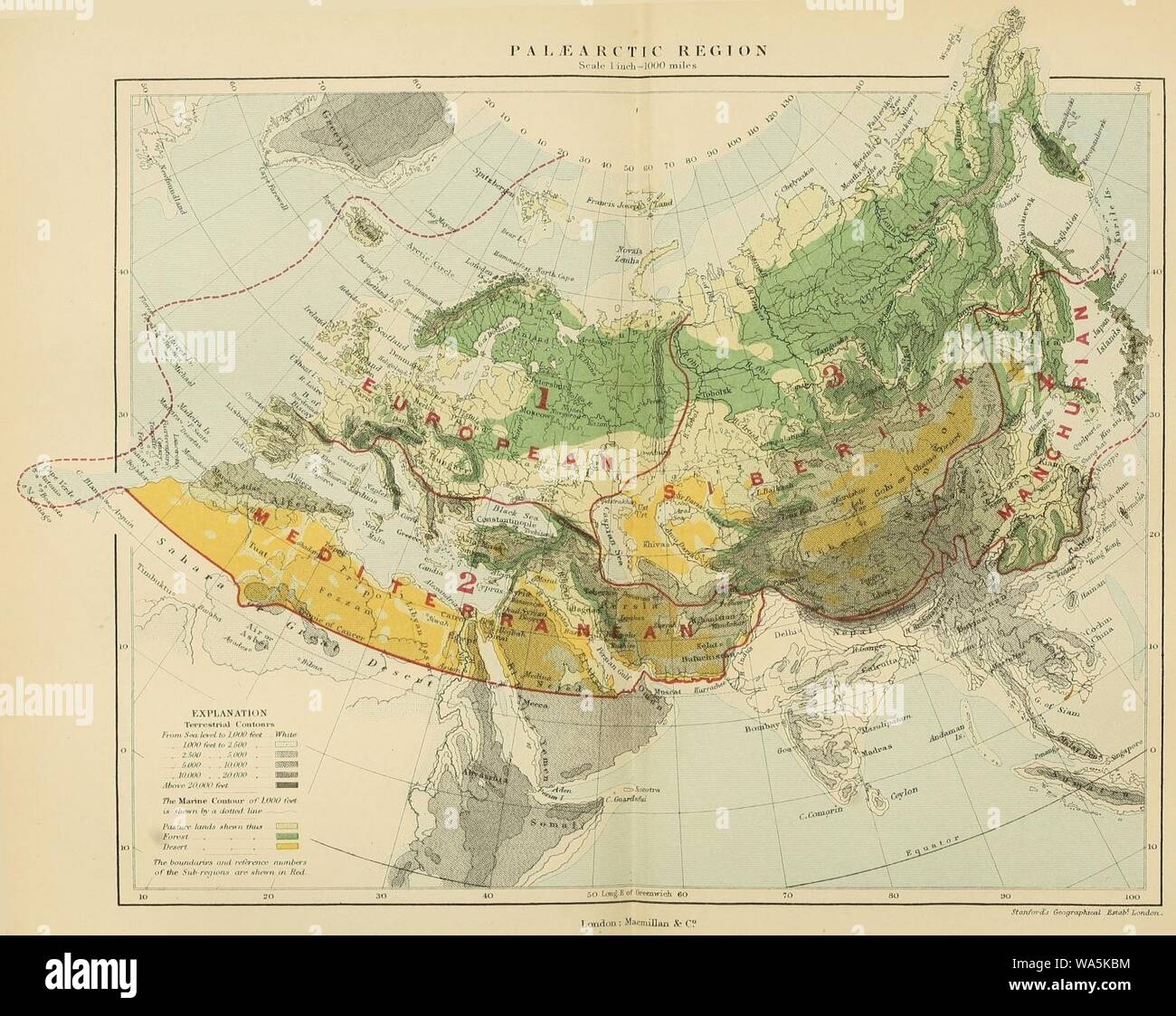 Palaearctic region hi-res stock photography and images - Alamy