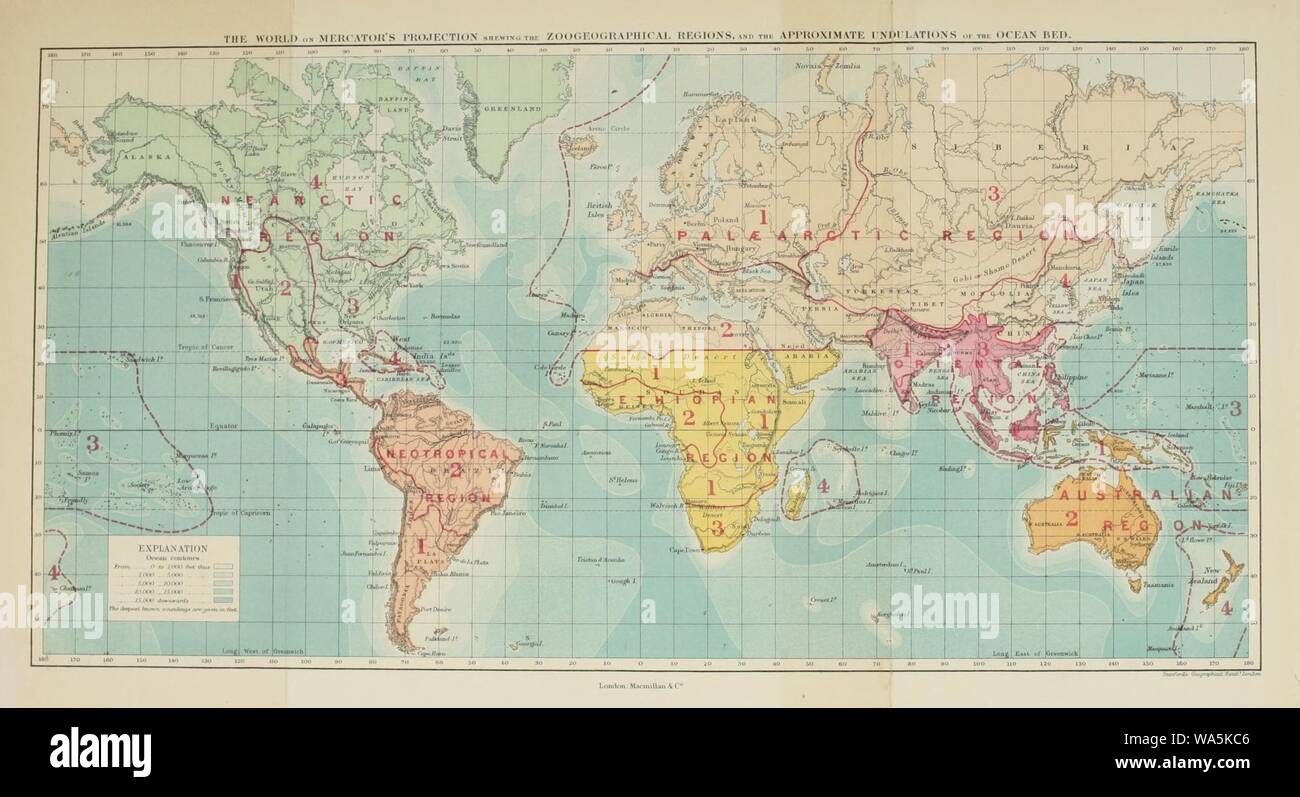 Distribution of Animals - World Stock Photo - Alamy