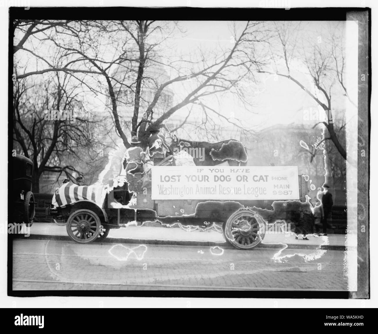 District Animal Parade Stock Photo - Alamy
