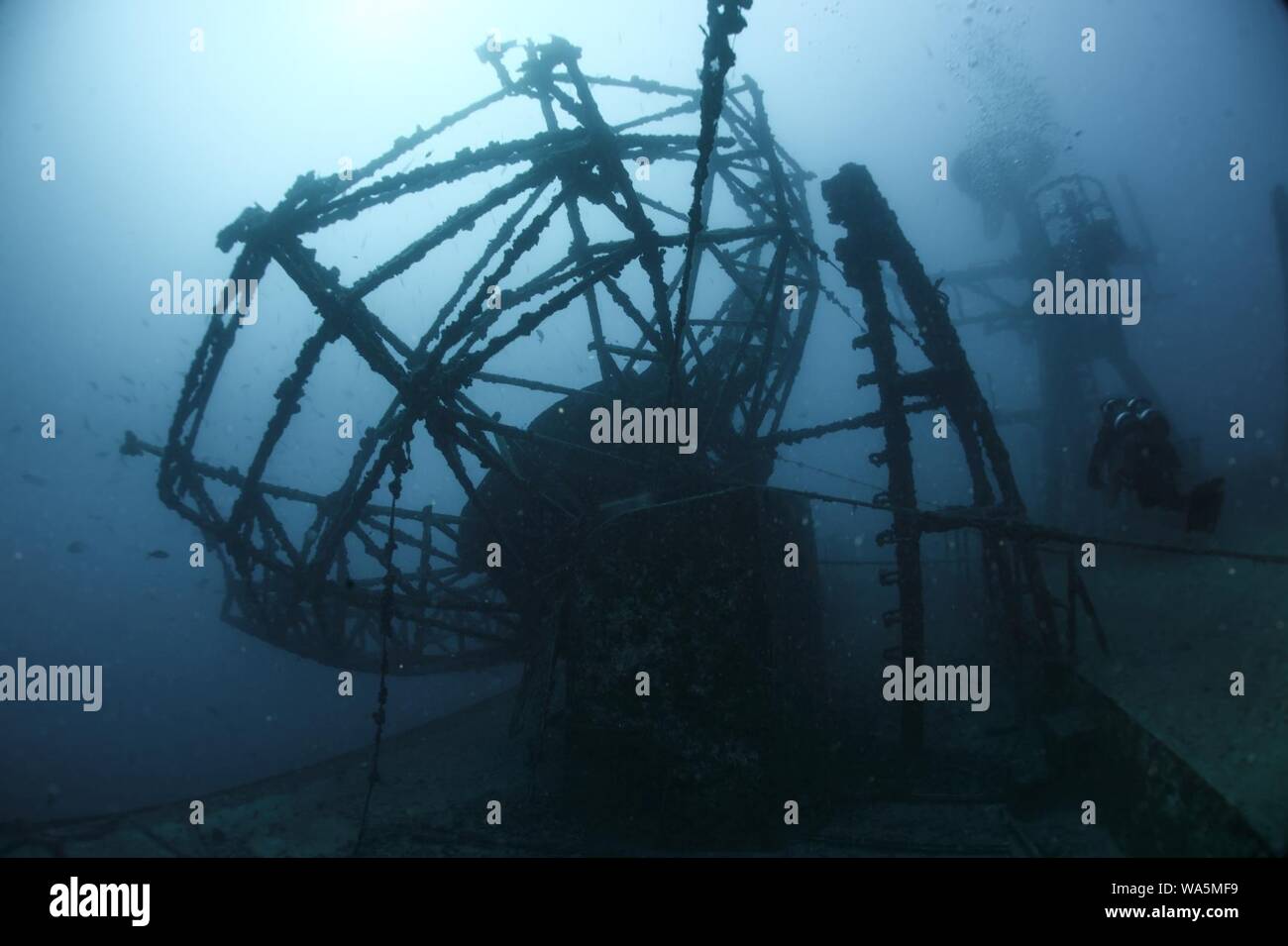 Diver at USNS General Hoyt S. Vandenberg (T-AGM-10) wreck off Key West ...