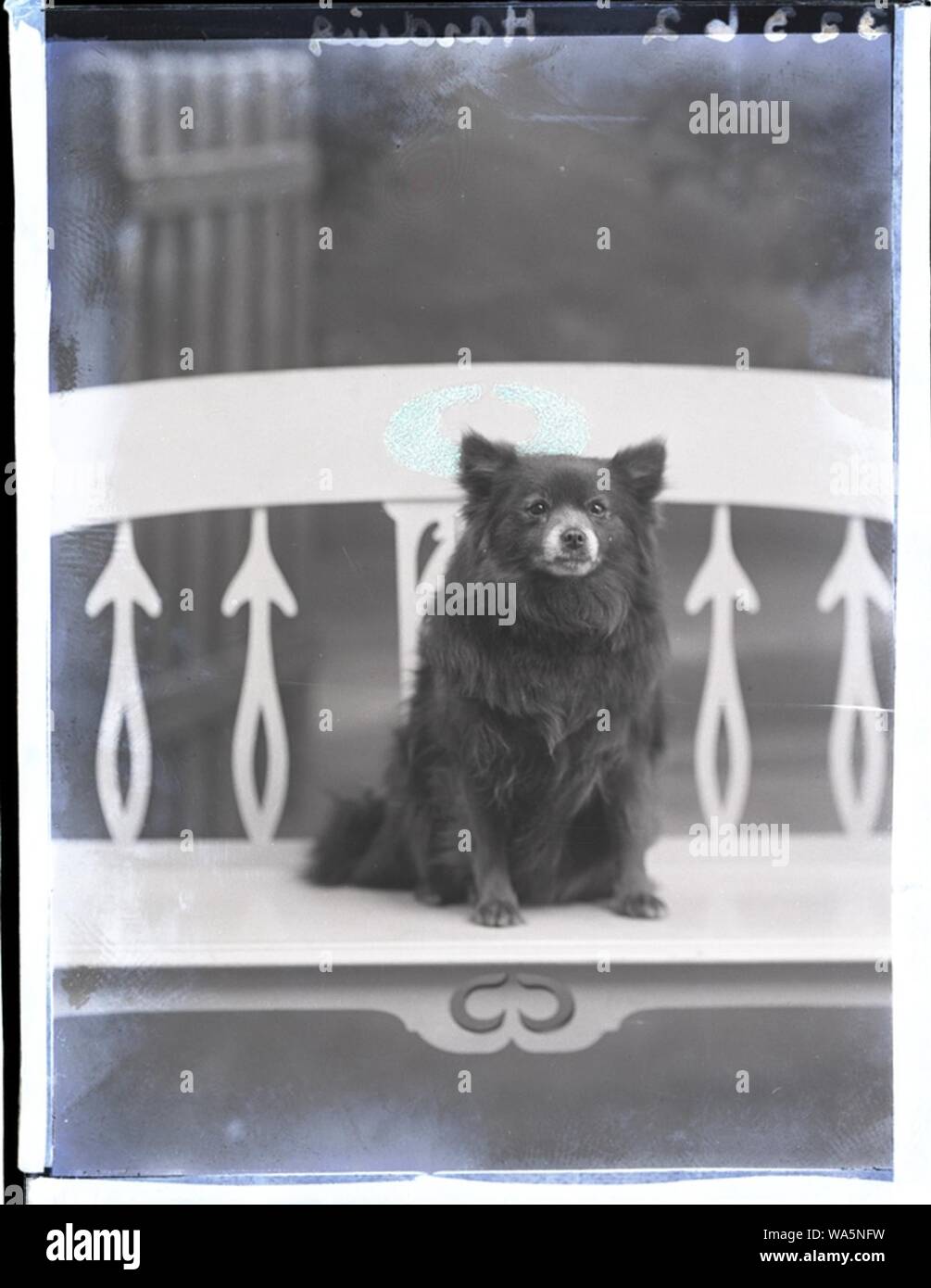 32362 hi-res stock photography and images - Alamy