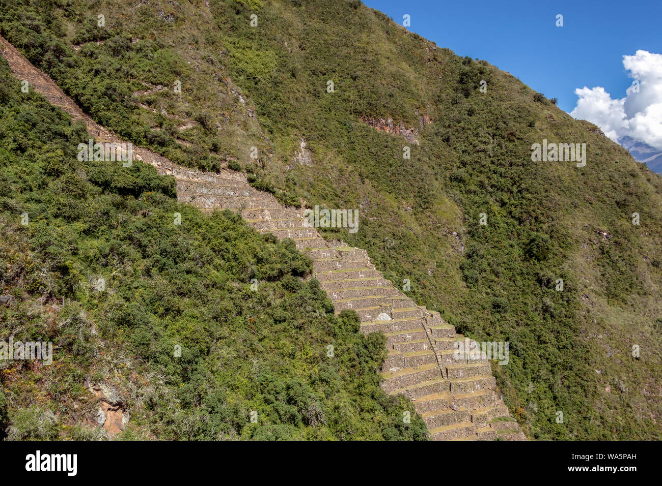Llamas del sol hi-res stock photography and images - Alamy