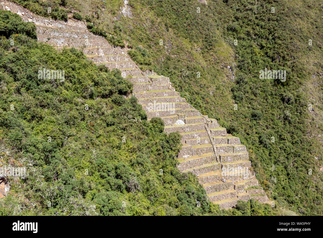 Famous Llamas del Sol, llamas of the Sun, agricultural terraces of ...