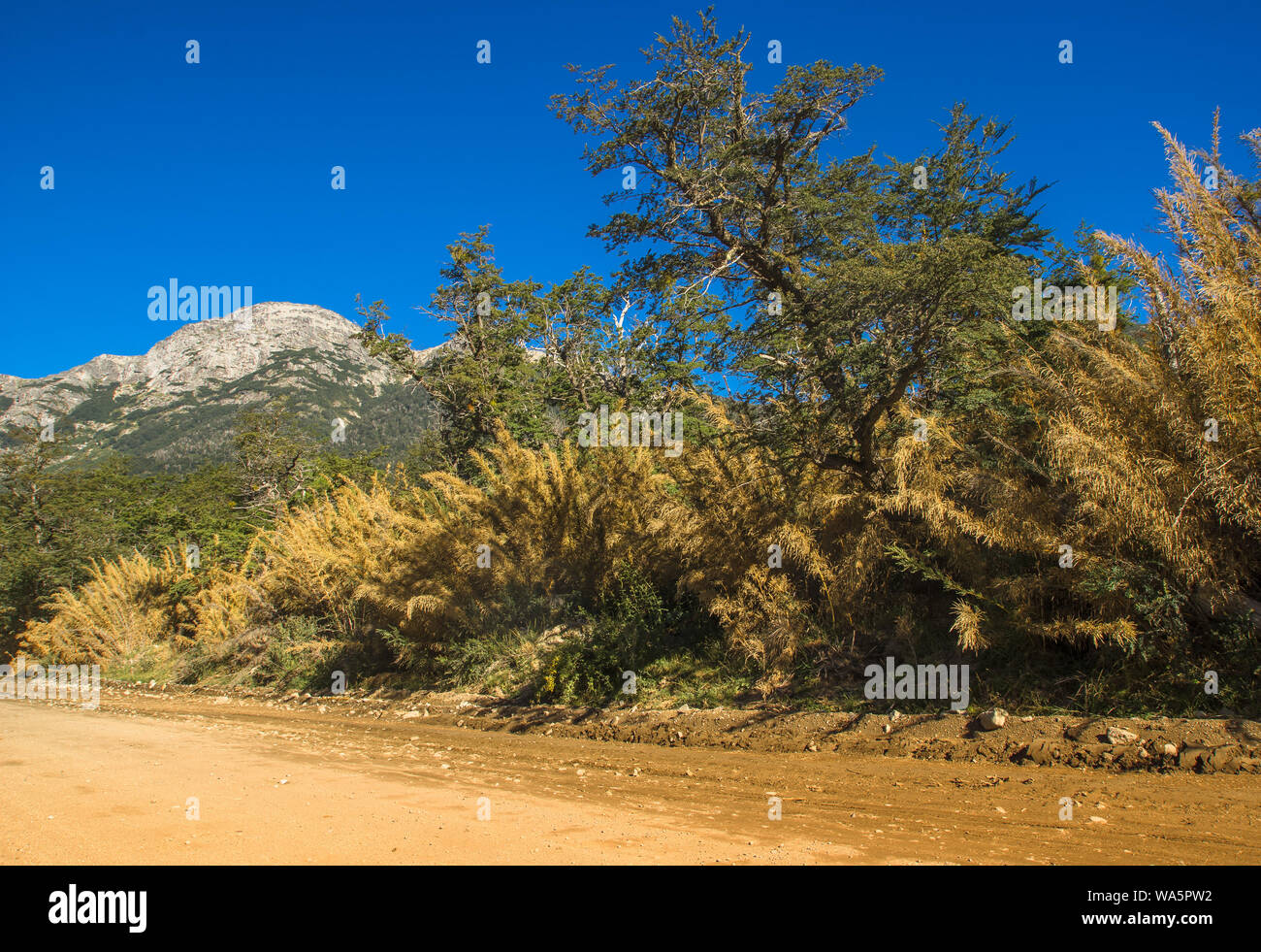 Lake Traful. Patagonia, Argentina. Pier on Lake Traful. Villa Traful ...