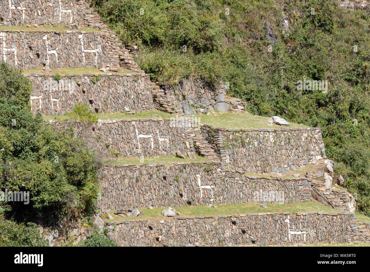Famous Llamas del Sol, llamas of the Sun, agricultural terraces of ...