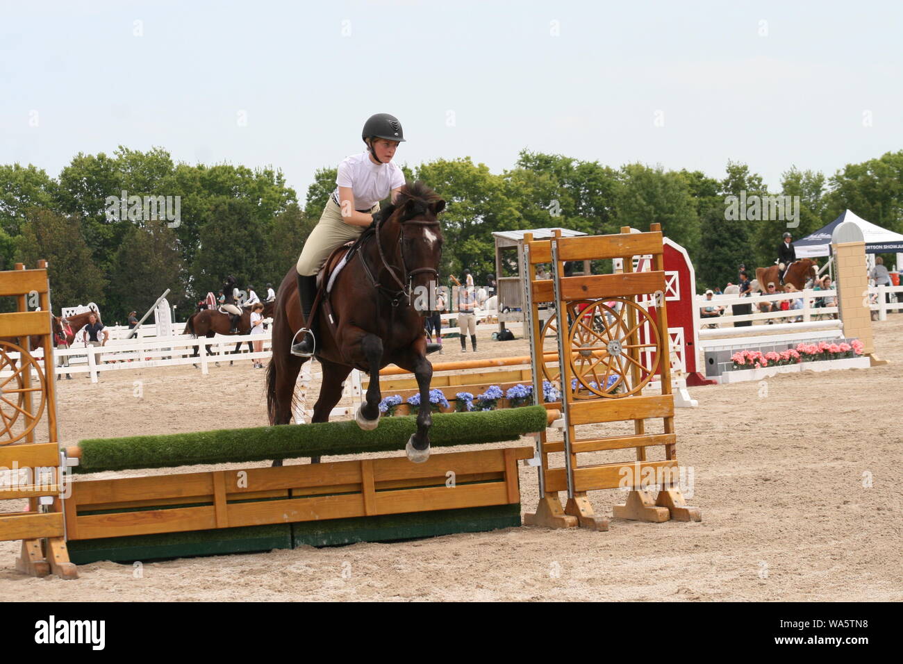 Beginner equestrian hi-res stock photography and images - Alamy