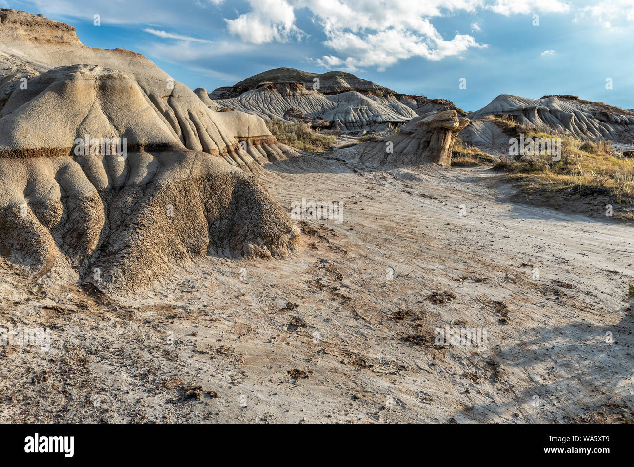 Dinosaur Provincial Park in the Red Deer Valley in Alberta, Canada ...