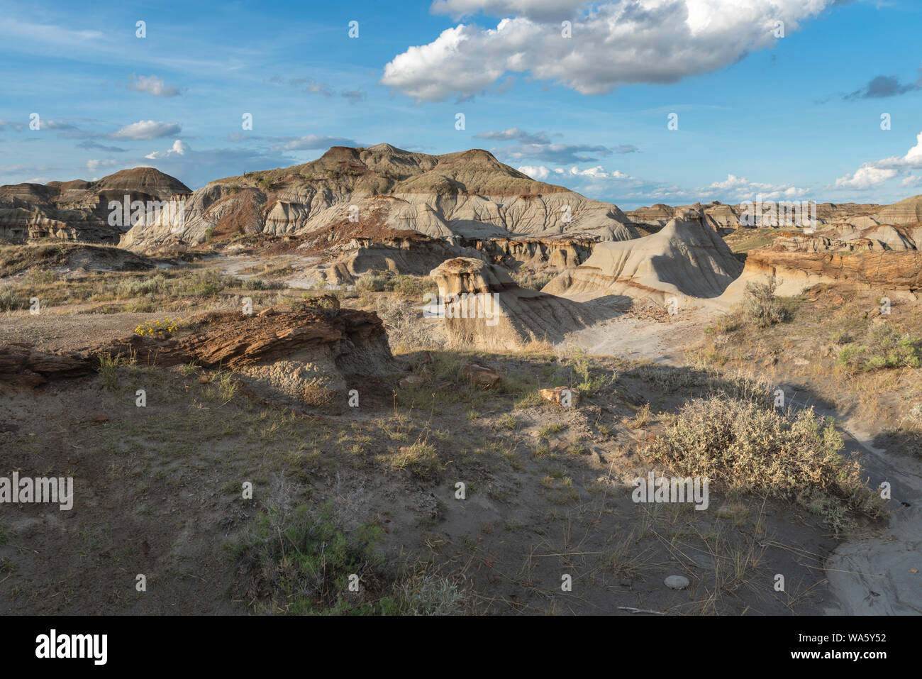 Dinosaur Provincial Park in the Red Deer Valley in Alberta, Canada ...