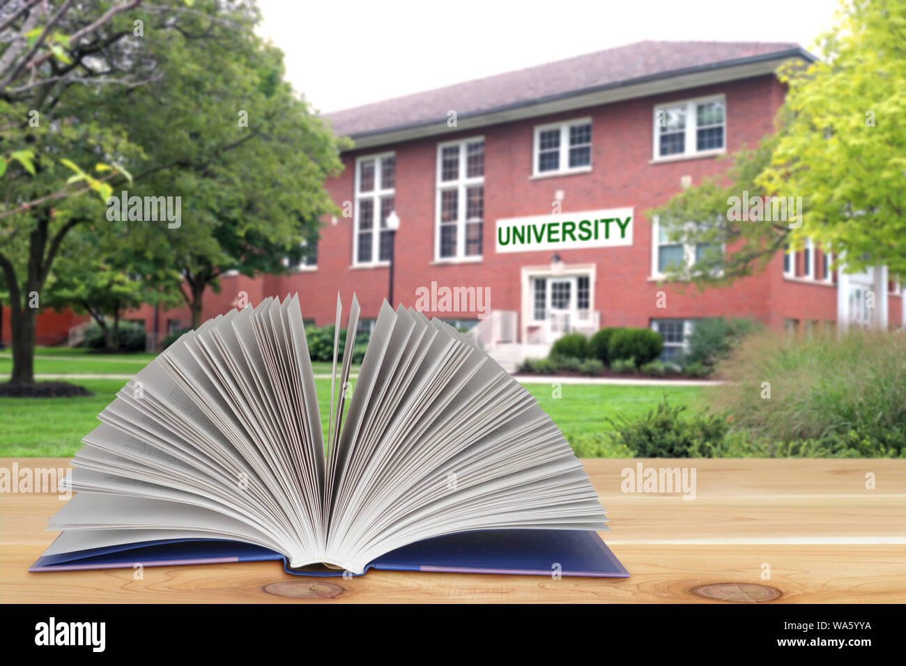 book and university for education concept and decoration Stock Photo ...