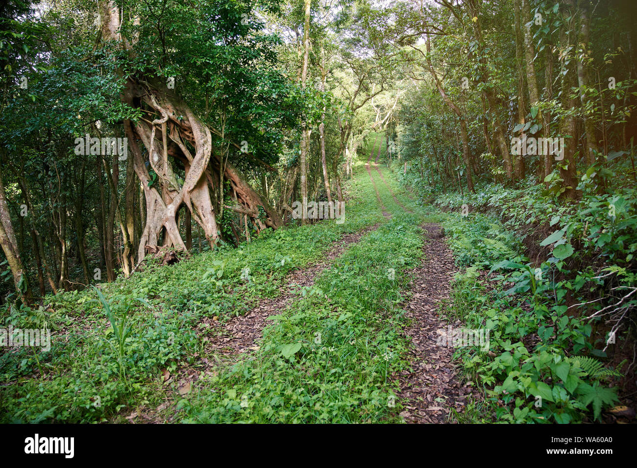 Unpaved roads hi-res stock photography and images - Alamy