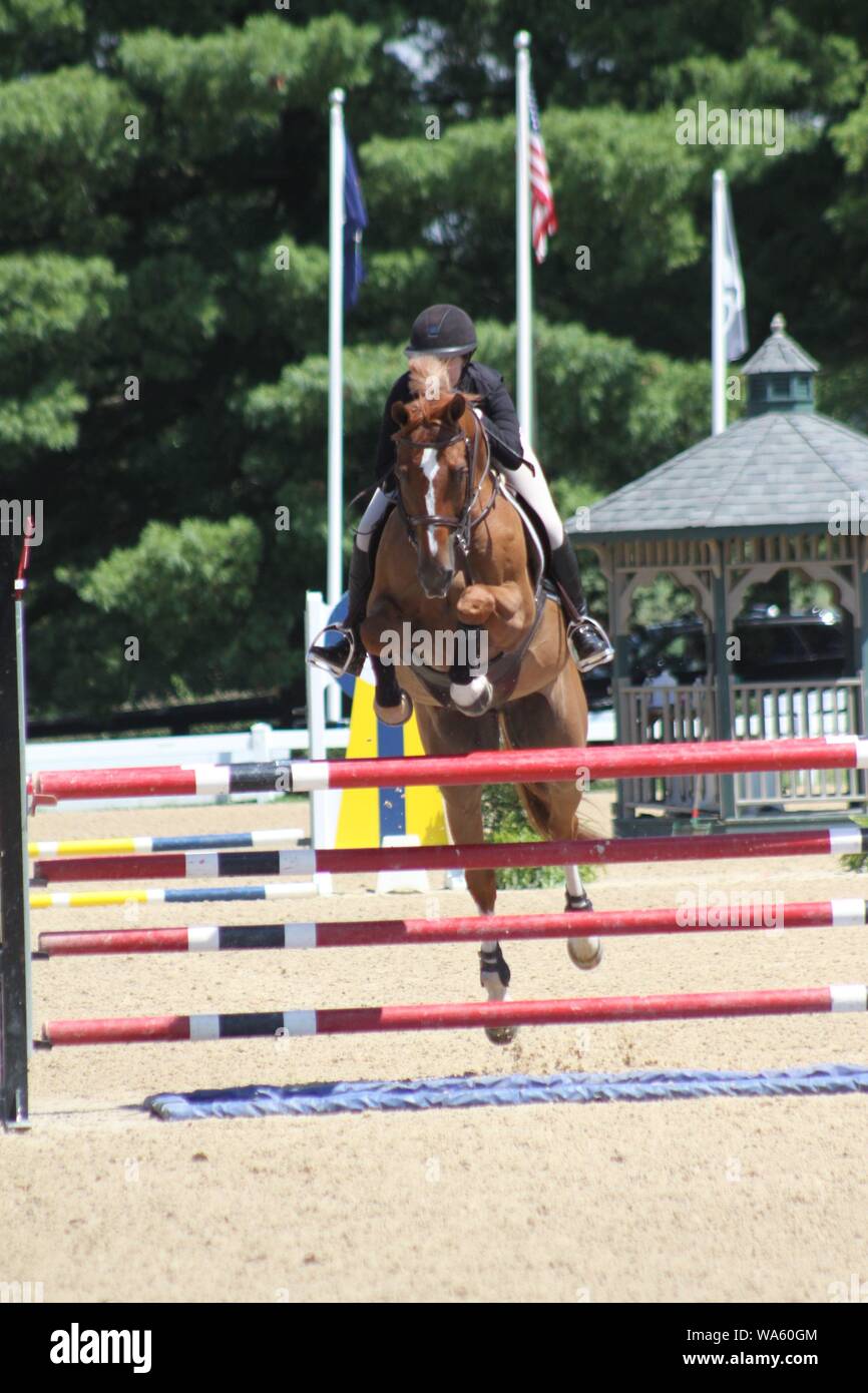 Soaring horse hi-res stock photography and images - Alamy
