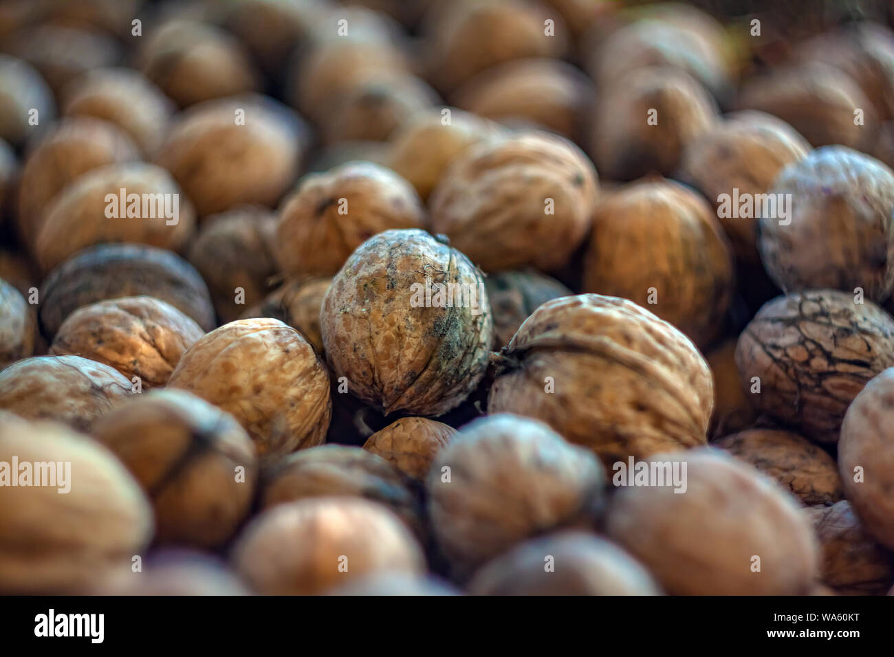 Natural walnut background pattern texture. Abstract walnuts heap ...