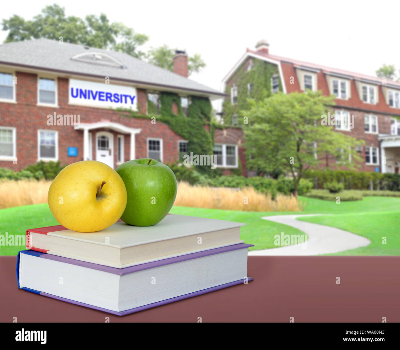 education concept with university campus and books Stock Photo - Alamy