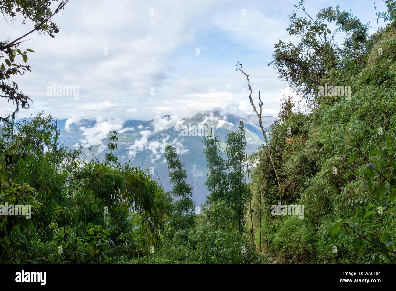 Amazon rainforest peru trek hi-res stock photography and images - Alamy