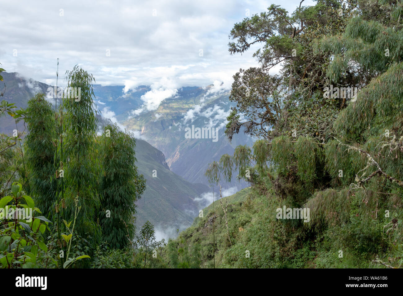 Amazon rainforest peru trek hi-res stock photography and images - Alamy
