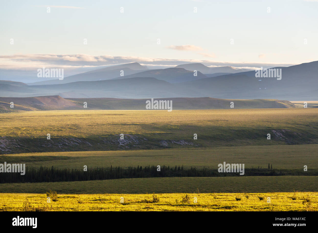 Tundra landscapes above Arctic circle Stock Photo - Alamy