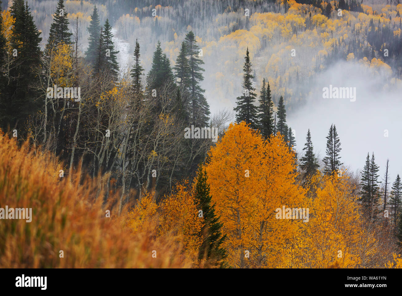 Late Autumn season in mountains Stock Photo - Alamy