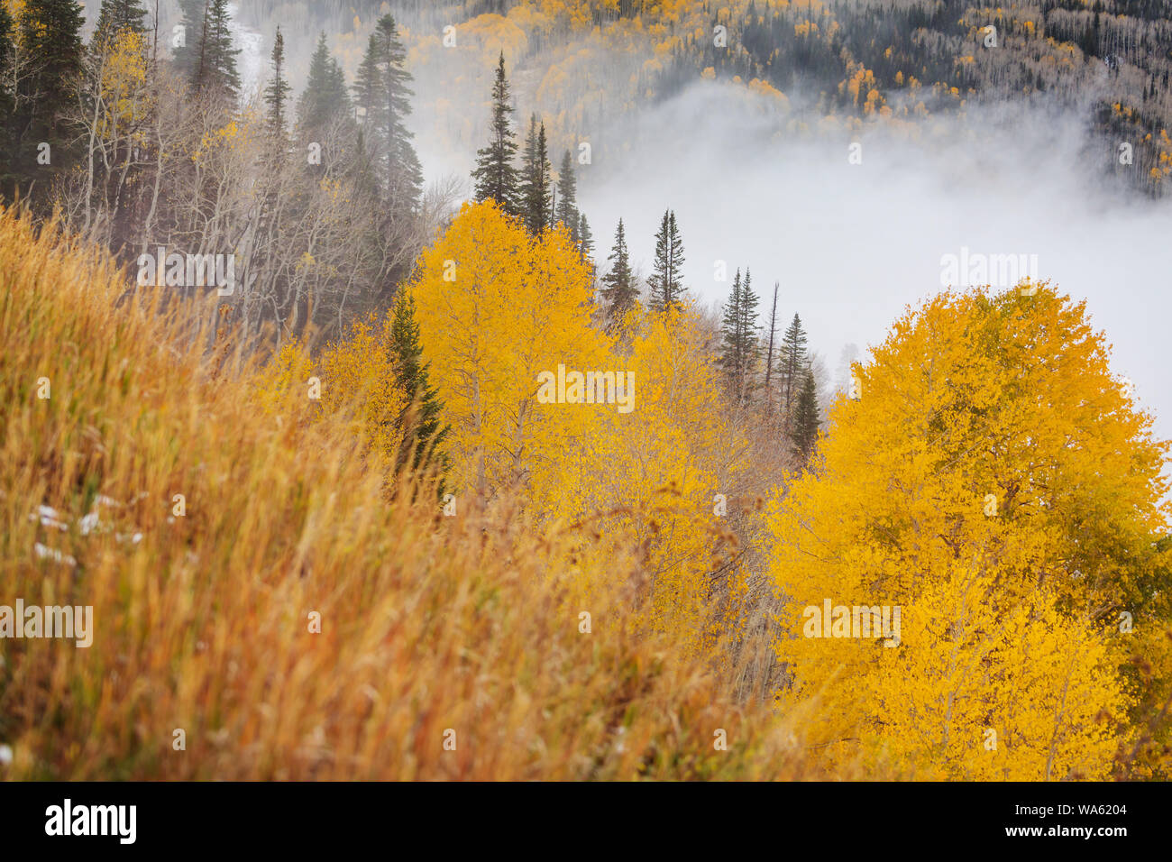Late autumn season hi-res stock photography and images - Alamy