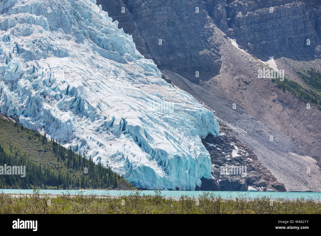 Beautiful Mount Robson in summer season, Canada Stock Photo - Alamy