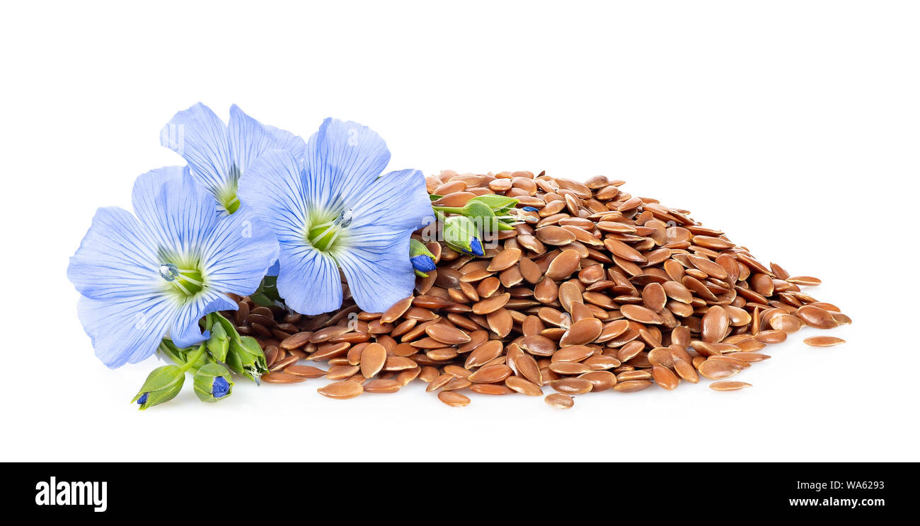 heap of flax seeds and blue flowers isolated on white background Stock ...