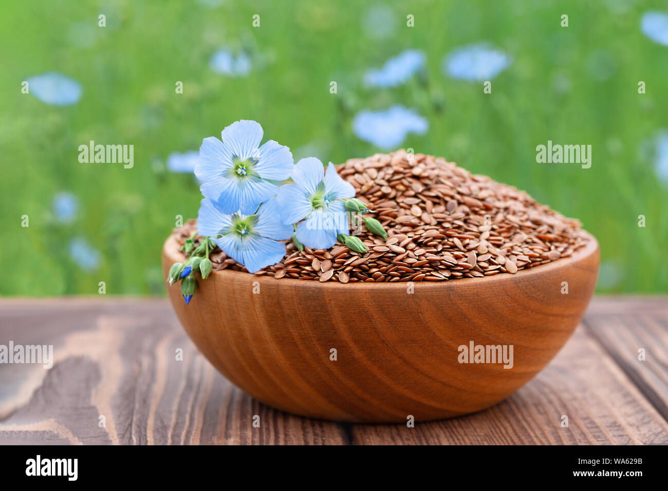 Flaxseed field hi-res stock photography and images - Alamy
