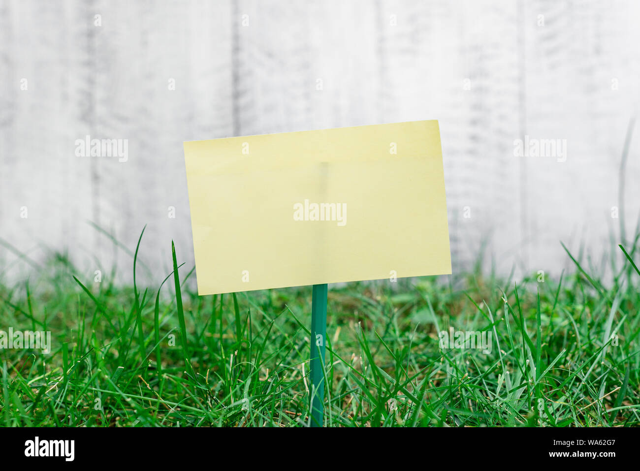 Plain empty paper attached to a stick and placed in the green grassy ...