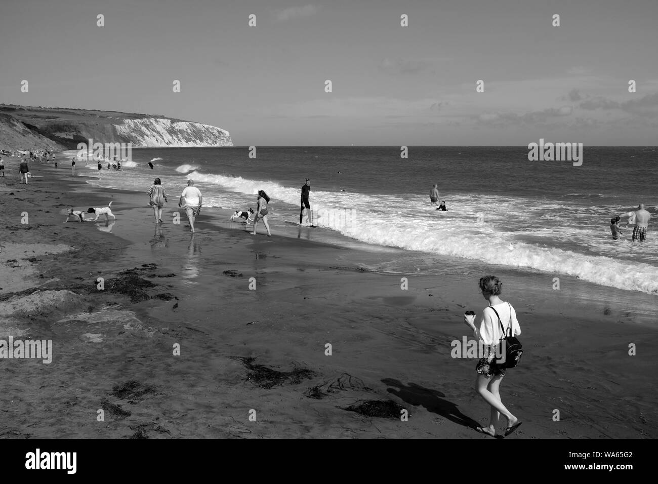 Beachgoers enjoying playing in the surf at the beach Stock Photo - Alamy