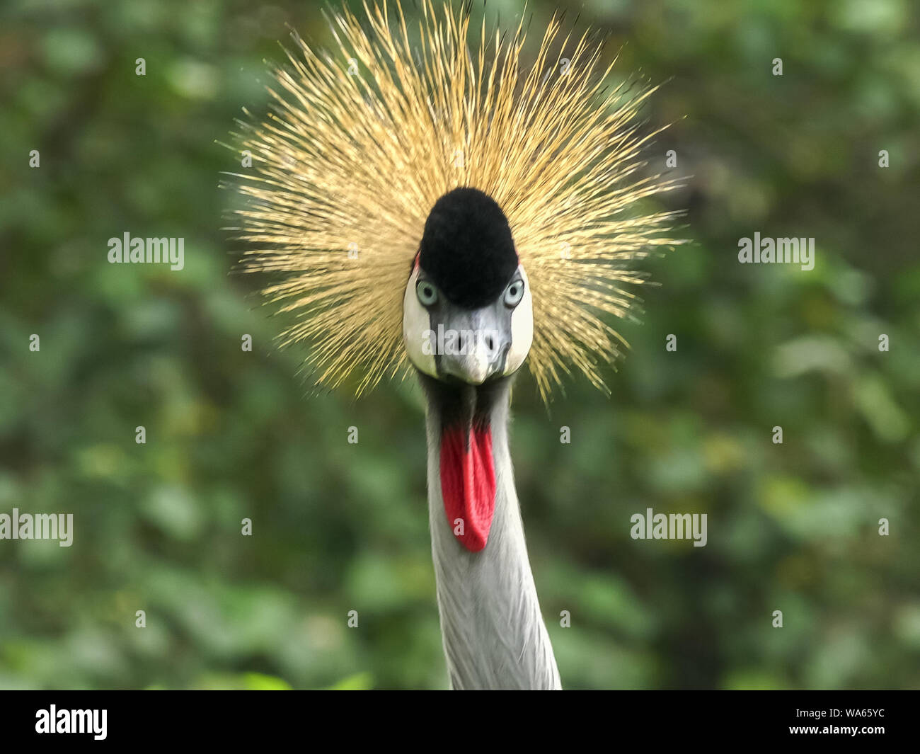 Camera crane hi-res stock photography and images - Alamy