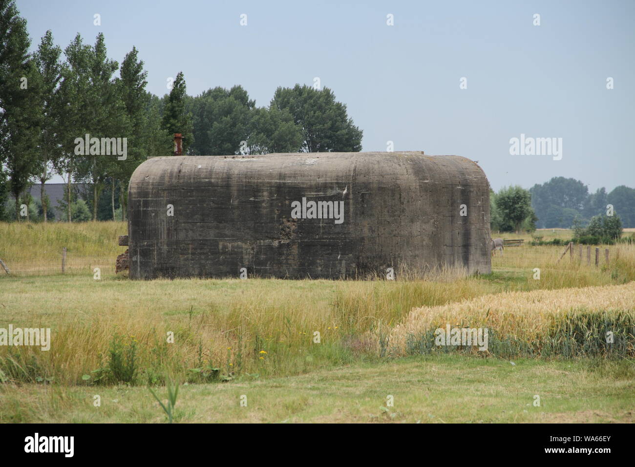 Bunker from the Second World War in the Netherlands Stock Photo - Alamy