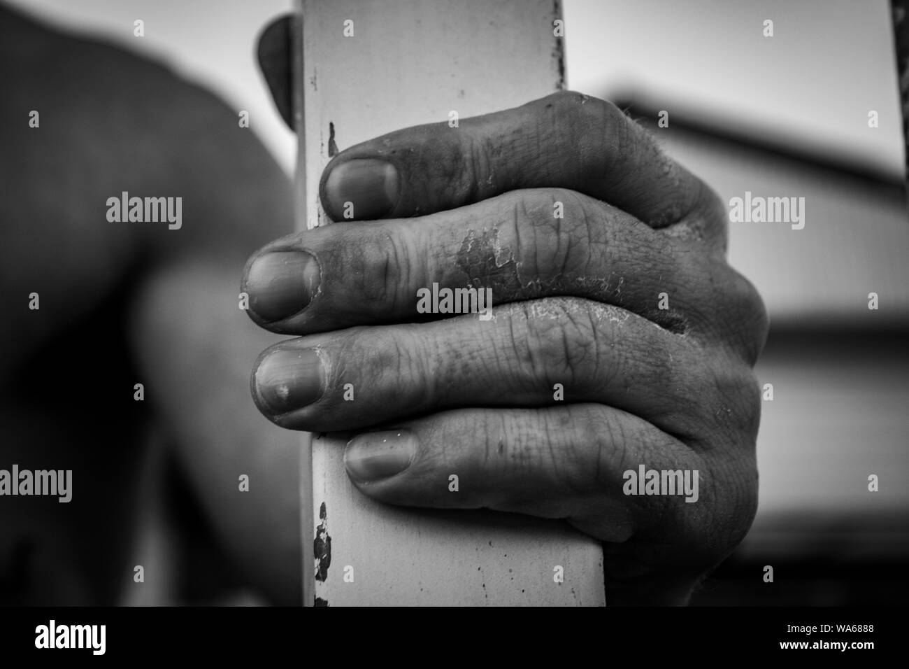 Science and health building Black and White Stock Photos & Images - Alamy
