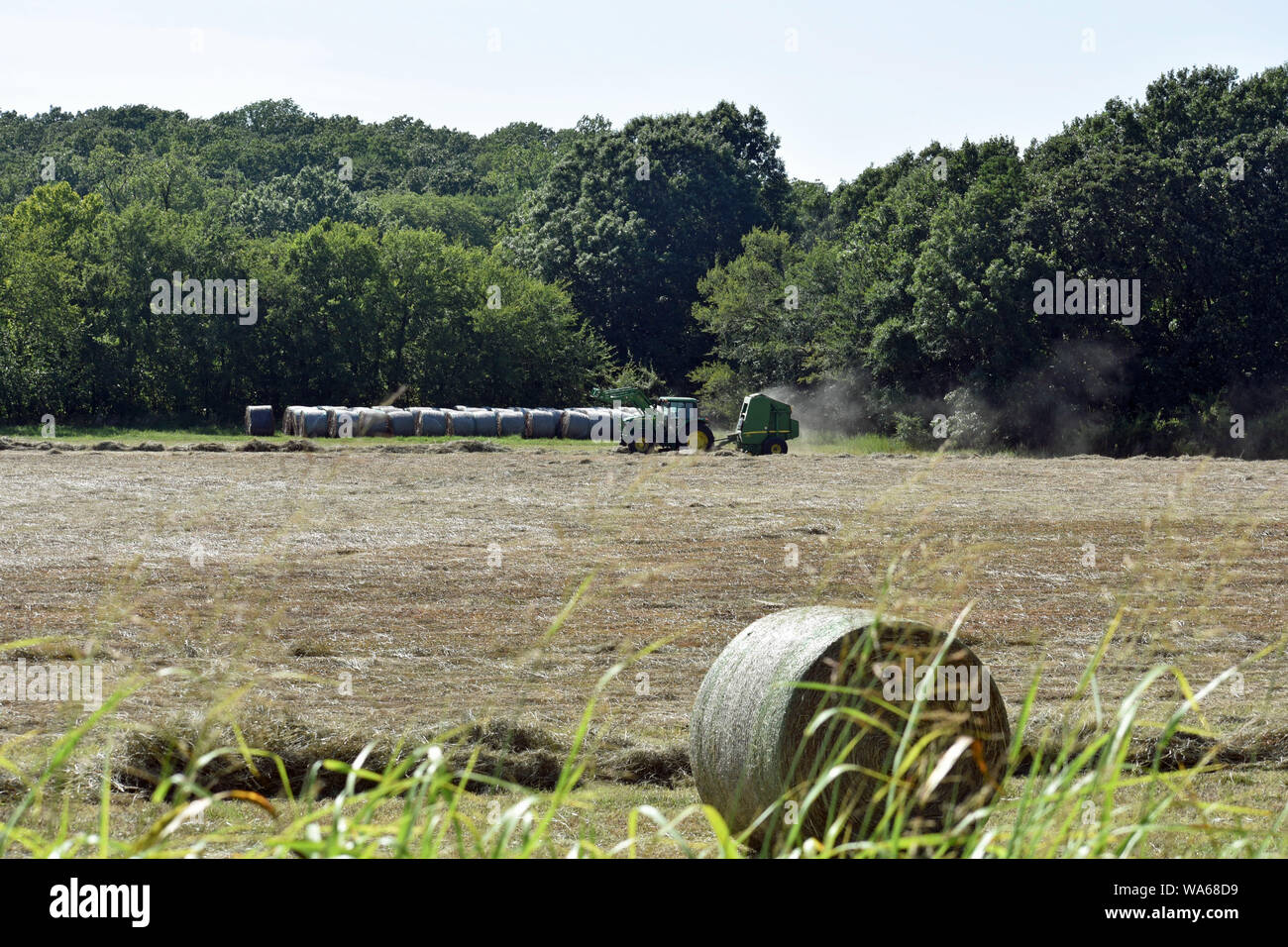 Alfalfa baling tractor and baler hi-res stock photography and images ...