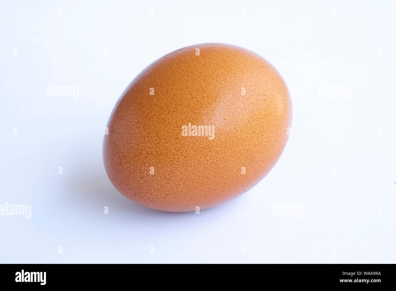 Close up of chicken egg isolated on white background with clipping path ...