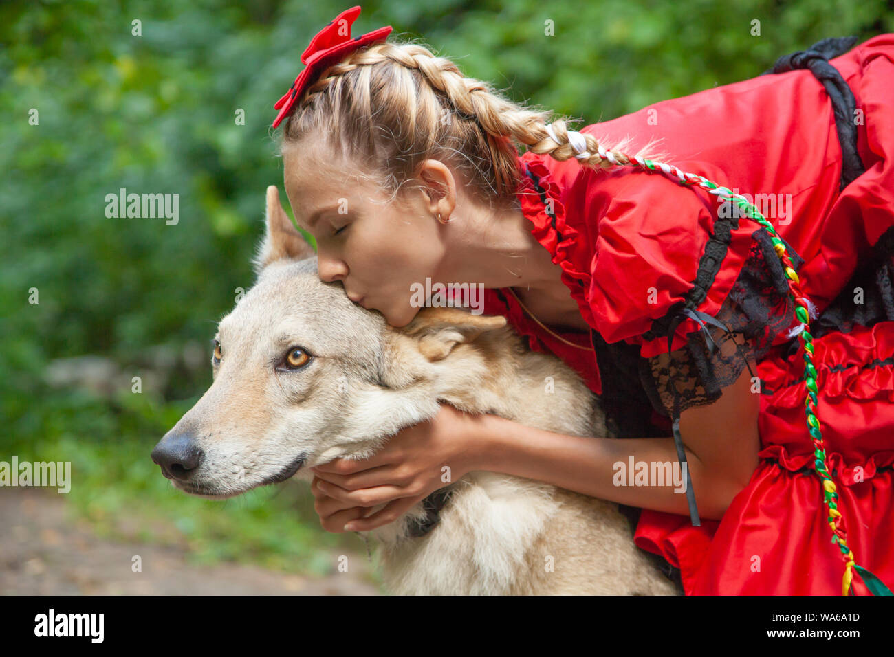 Cheerful pretty young woman in red dress sitting and hugging her wolf ...