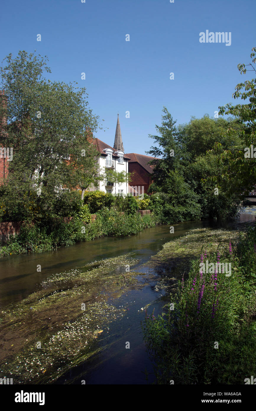 Salisbury wiltshire rivers hi-res stock photography and images - Alamy