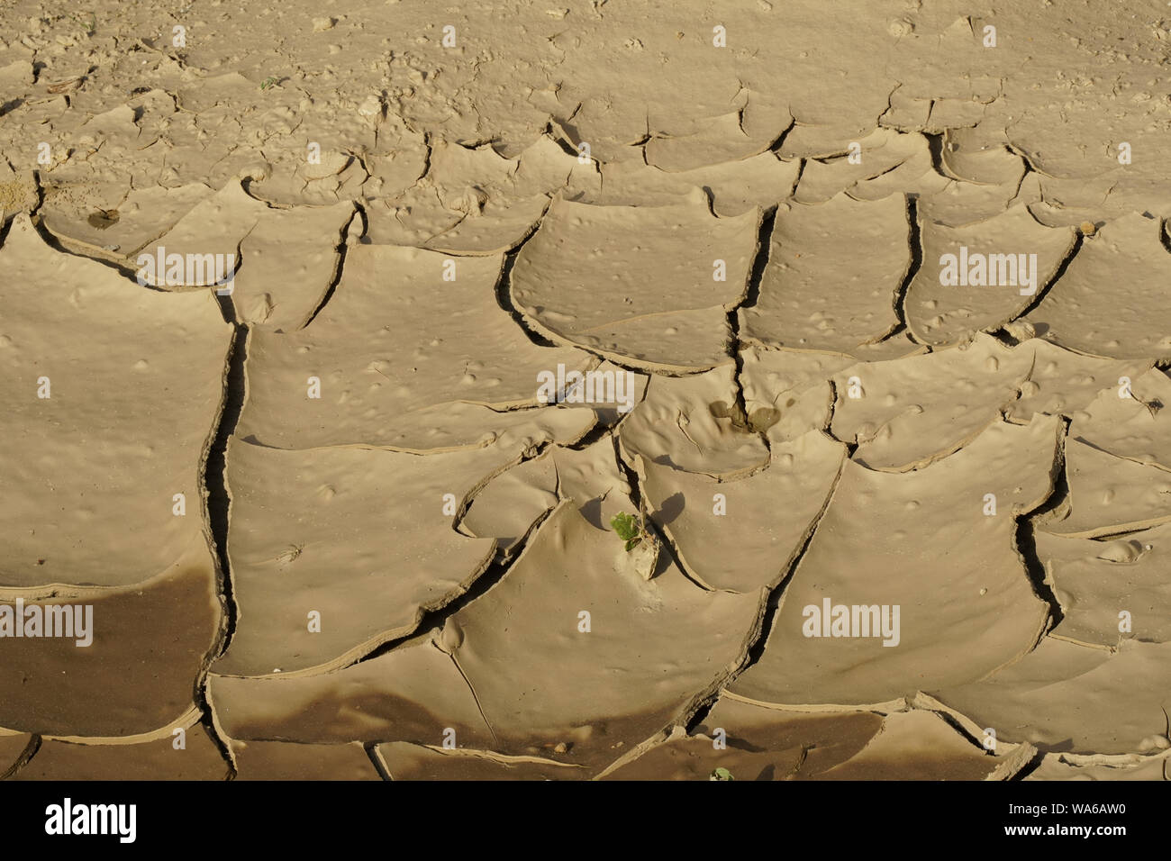 Dried out ground Stock Photo - Alamy