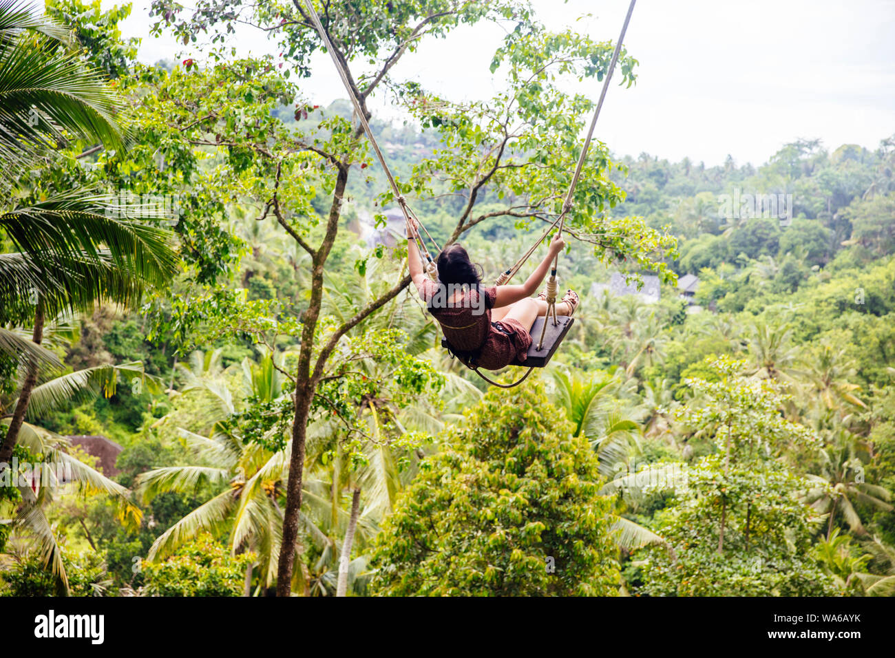 Young tourist woman swinging over the tropical rainforest at Bali ...