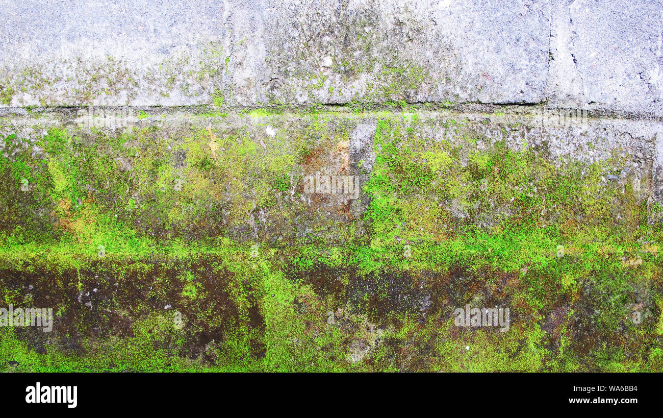 Mossy stone brick wall texture hi-res stock photography and images - Alamy