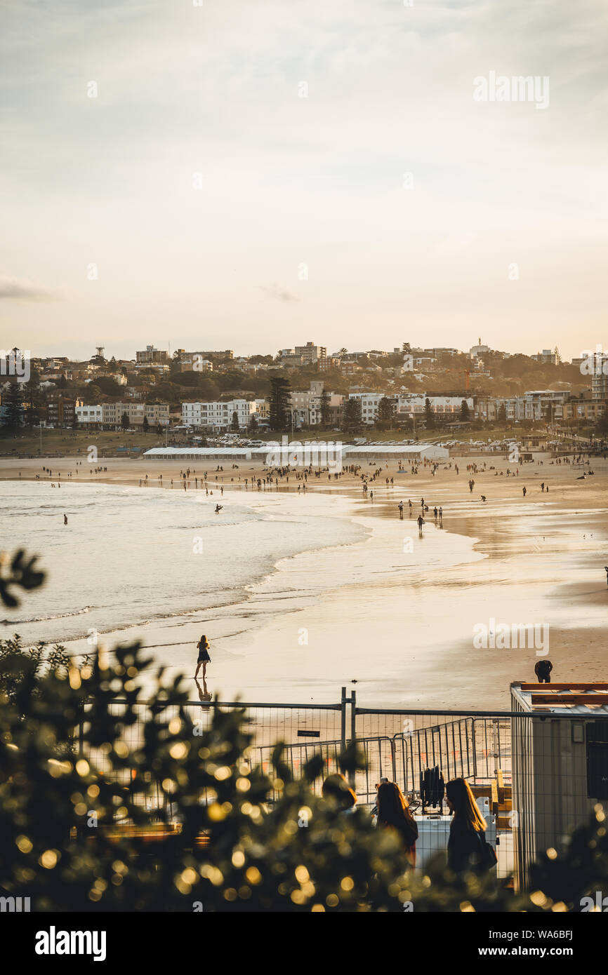 North bondi beach hi-res stock photography and images - Alamy