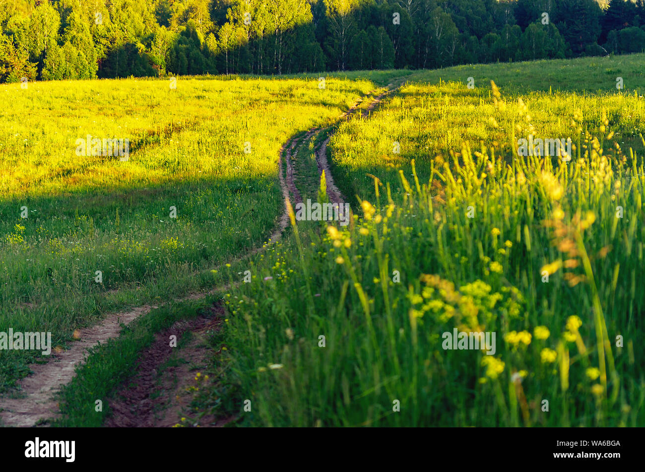 Downhill Country Dirt Road Winding In Tall Grass at Sunset, Altai ...