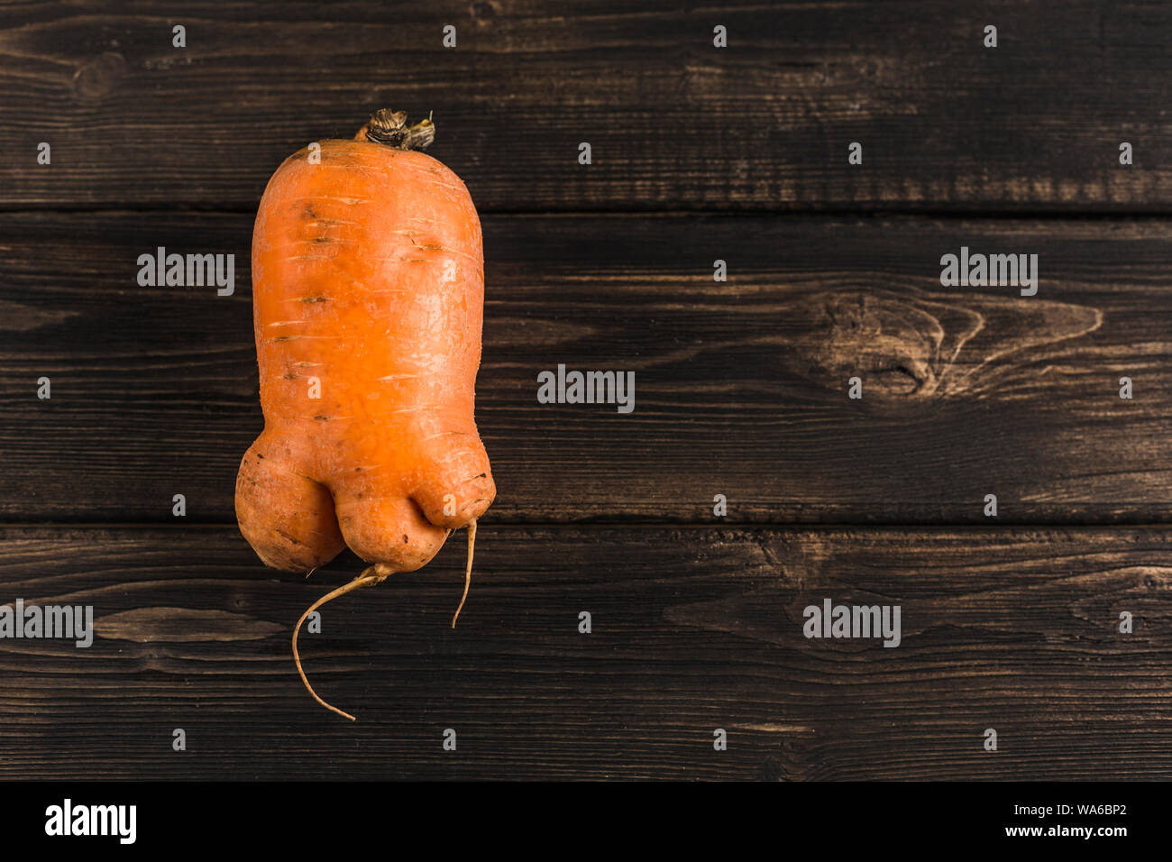 Ugly vegetable carrot with sprouts on a dark wooden natural background ...