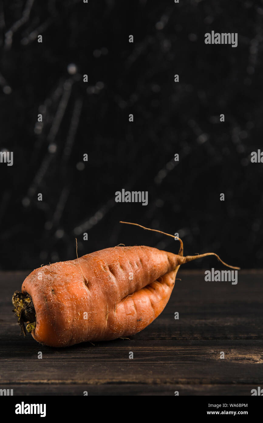 Ugly vegetable carrot with sprouts on a dark wooden natural background ...