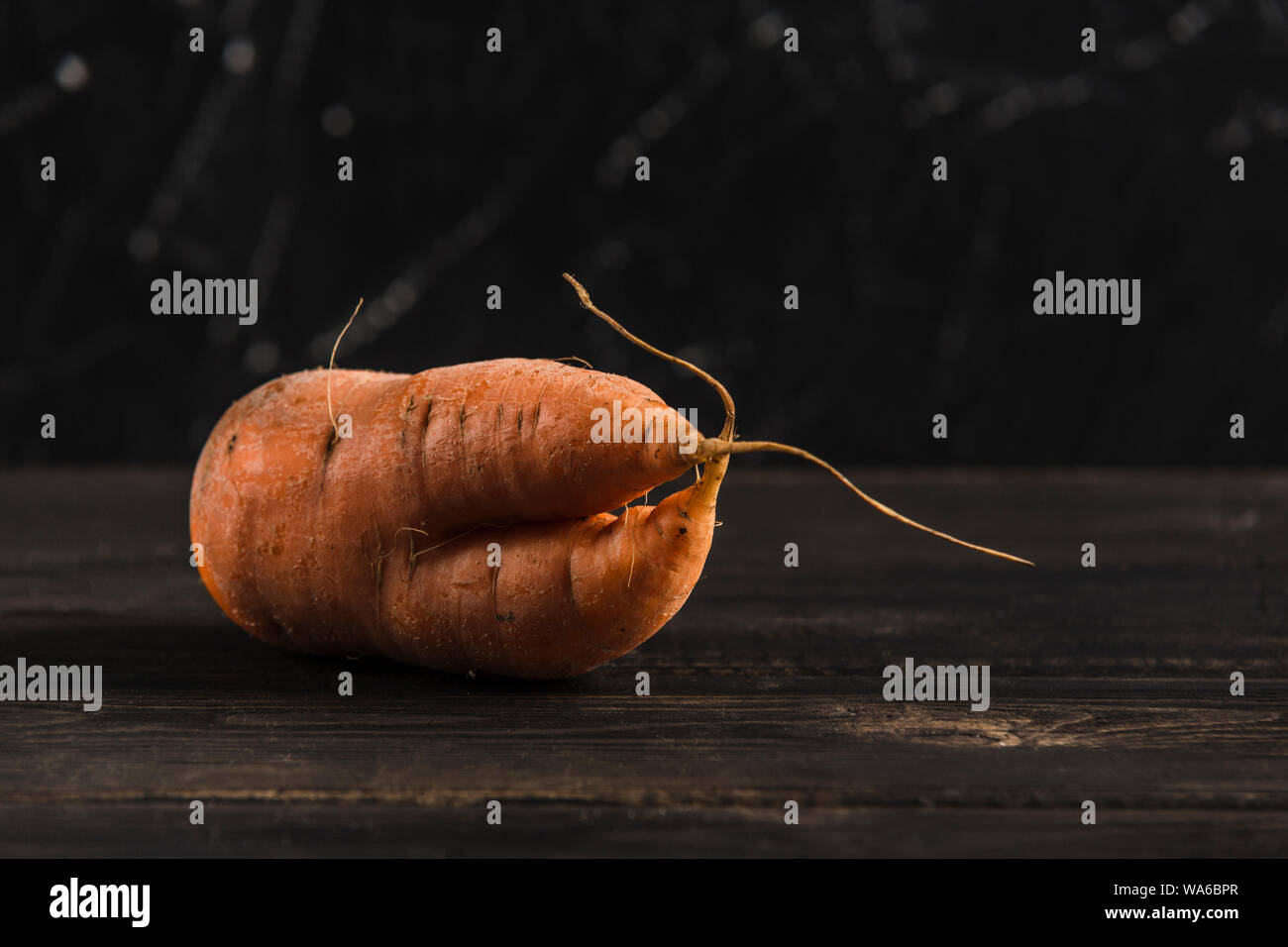 Ugly vegetable carrot with sprouts on a dark wooden natural background ...