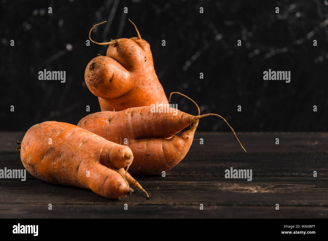 Ugly vegetable carrot with sprouts on a dark wooden natural background ...