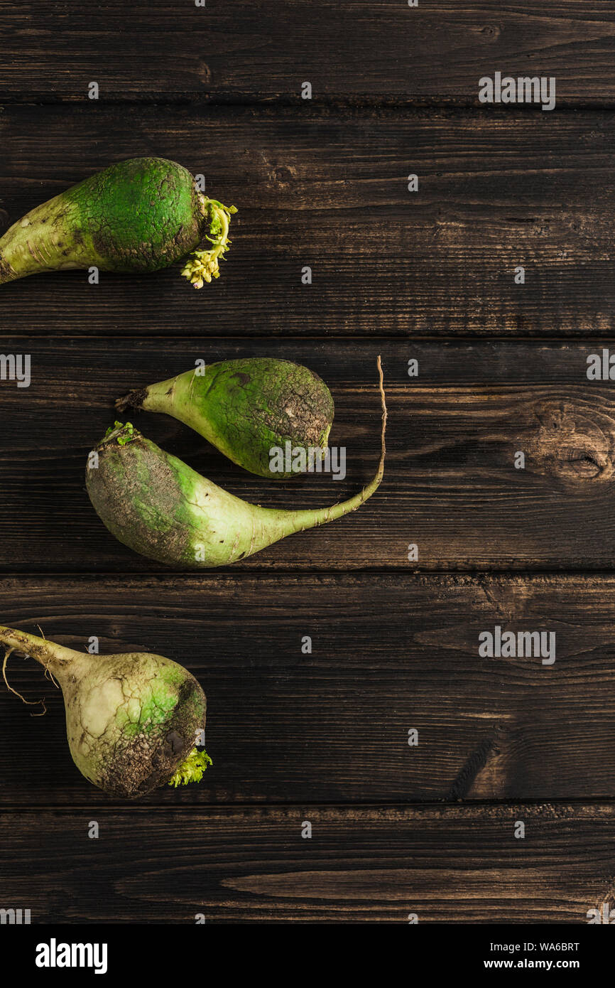 Ugly vegetable green radish with sprouts on a dark wooden natural ...