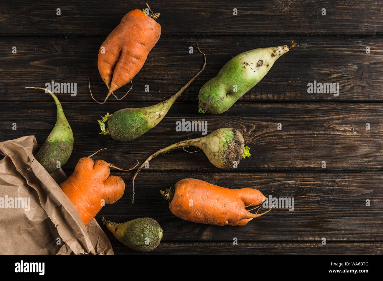 Ugly vegetable green radish and carrot with sprouts on a dark wooden ...