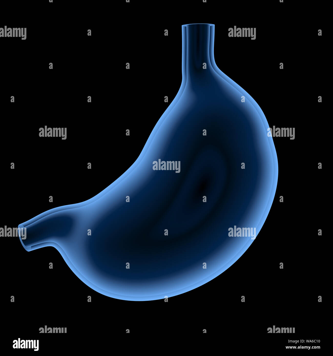 3d rendering x-ray stomach isolated on black Stock Photo - Alamy