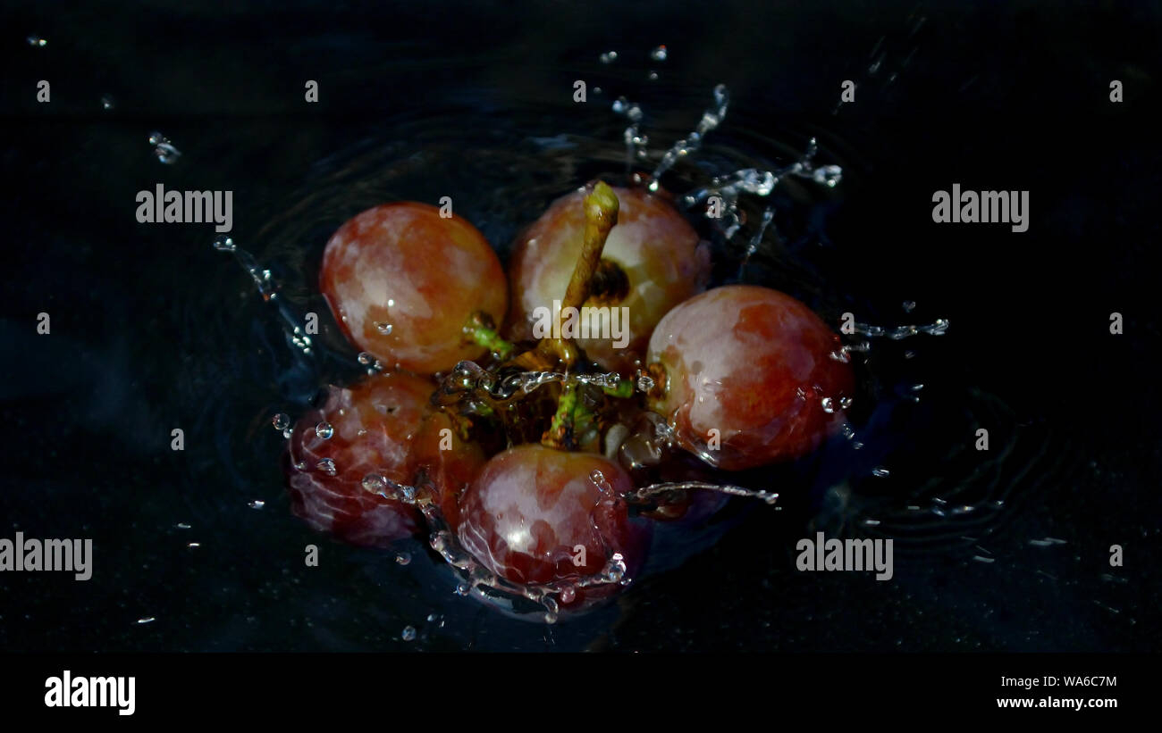 Grapes water hi-res stock photography and images - Alamy