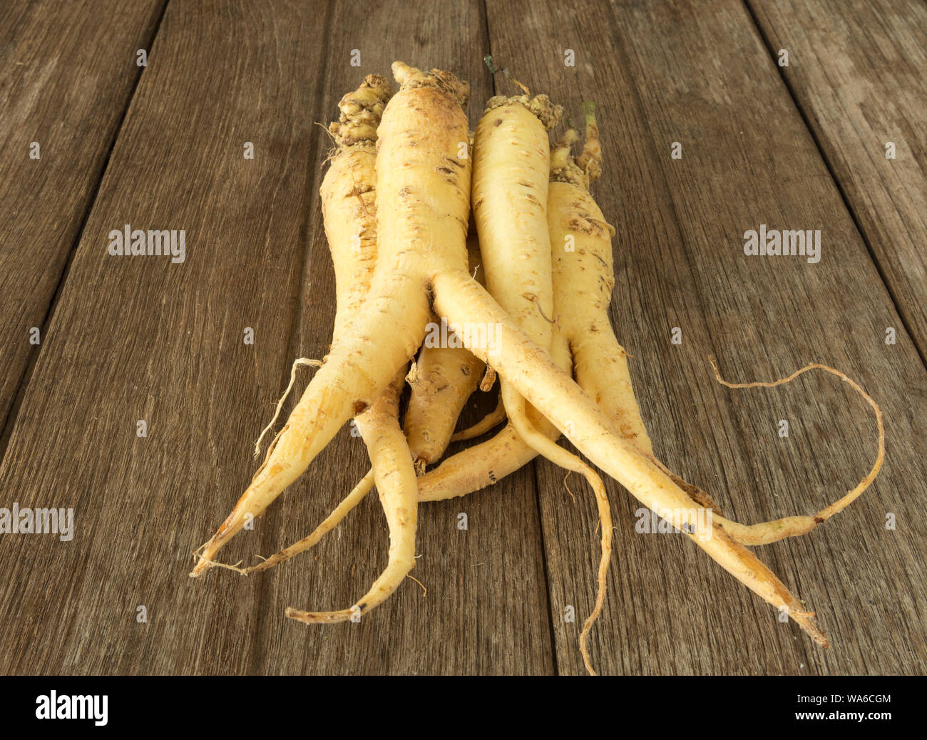 Ginseng for the floor hi-res stock photography and images - Alamy