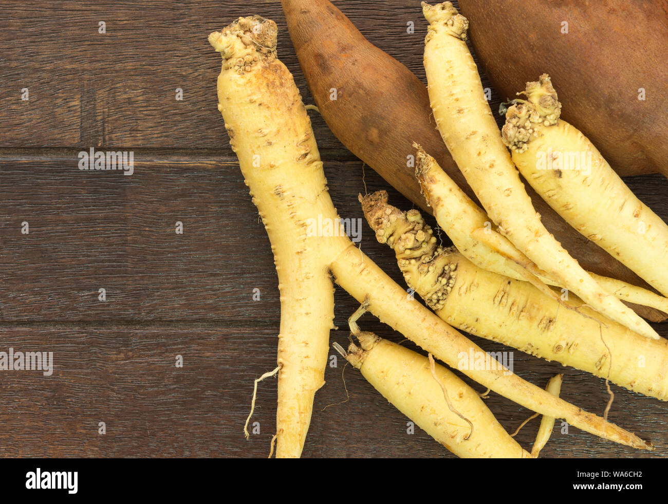 Restorative care hi-res stock photography and images - Alamy